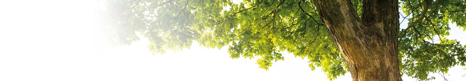 Questions Fréquentes – Humusation France